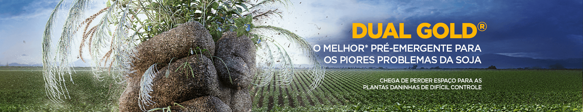Herbicida Dual Gold® | Portal Syngenta
