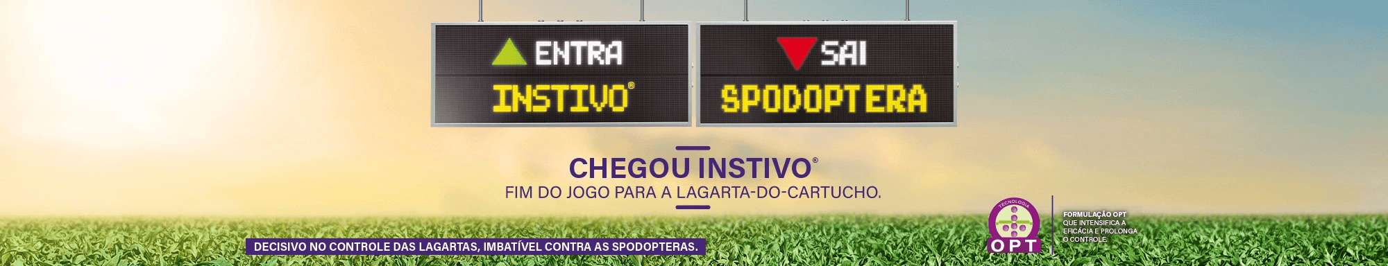 Inseticida Instivo® (milho) | Portal Syngenta