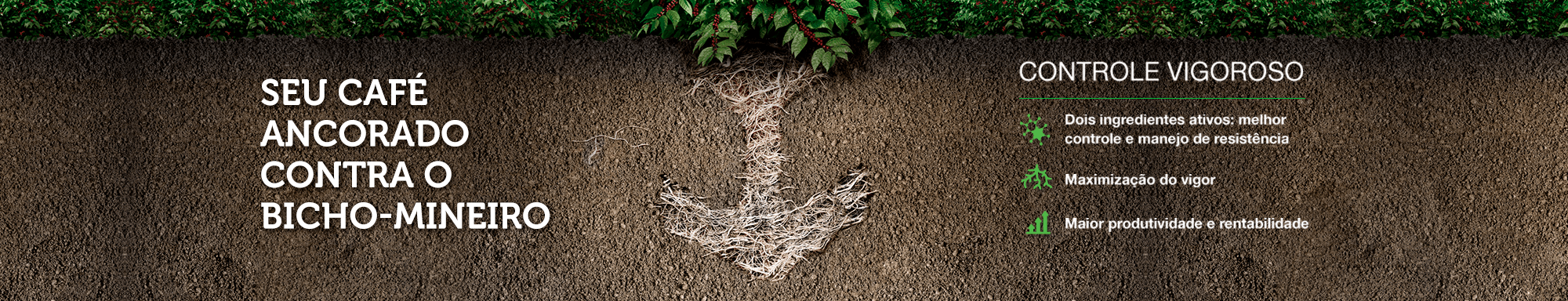 Inseticida Durivo® | Portal Syngenta