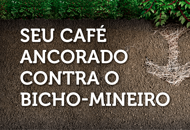 Inseticida Durivo® | Portal Syngenta