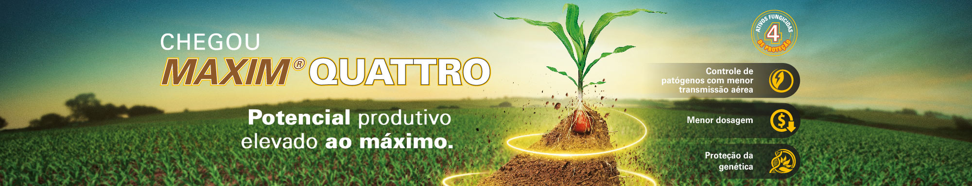Tratamento de sementes Maxim® Quattro | Portal Syngenta