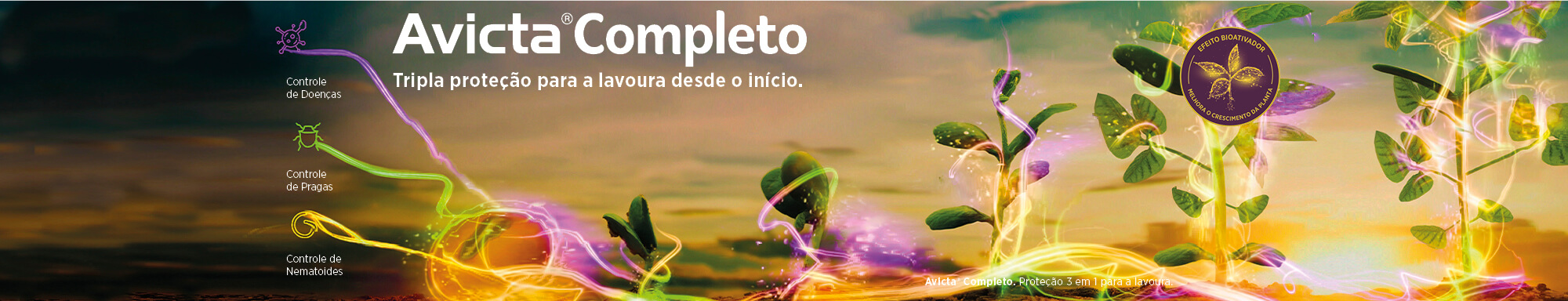 Avicta Completo | Portal Syngenta