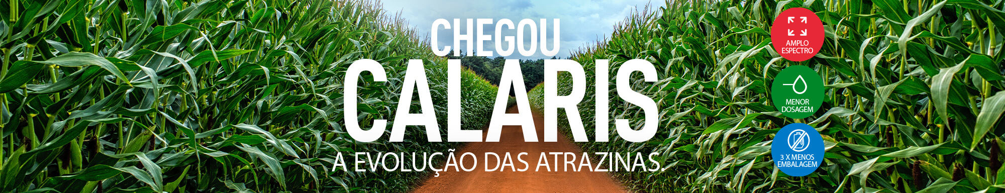 Herbicida Calaris® | Portal Syngenta