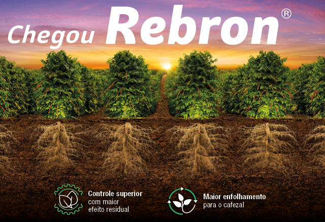 Inseticida e fungicida Rebron | Portal Syngenta