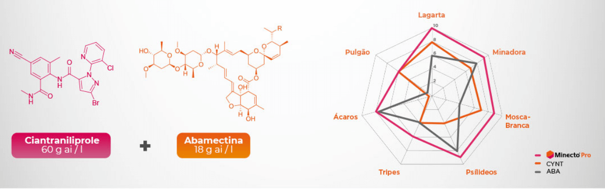 Inseticida Minecto® Pro | Portal Syngenta